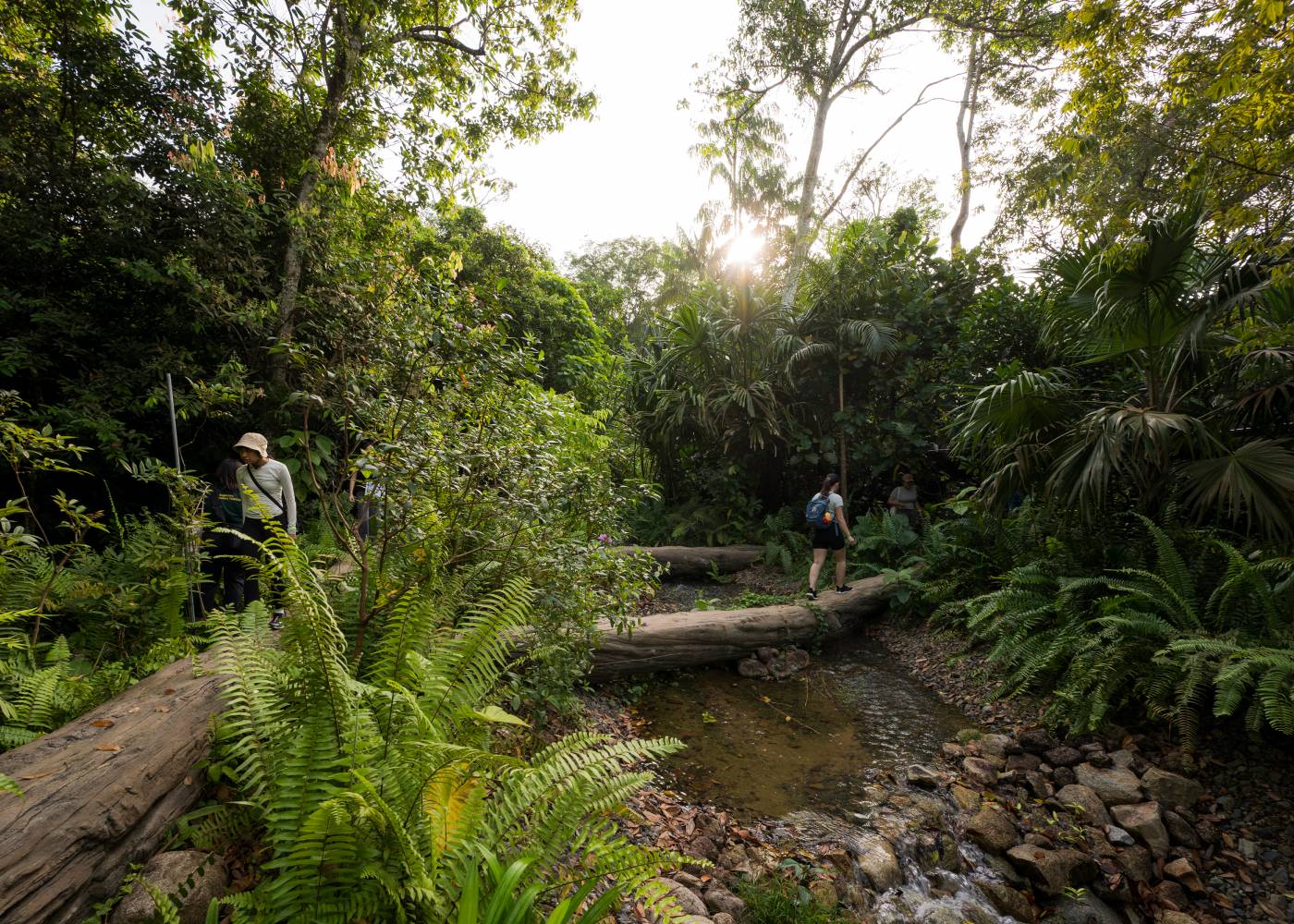 NEW in Singapore! Rainforest Wild Asia | DSGN arcHive
