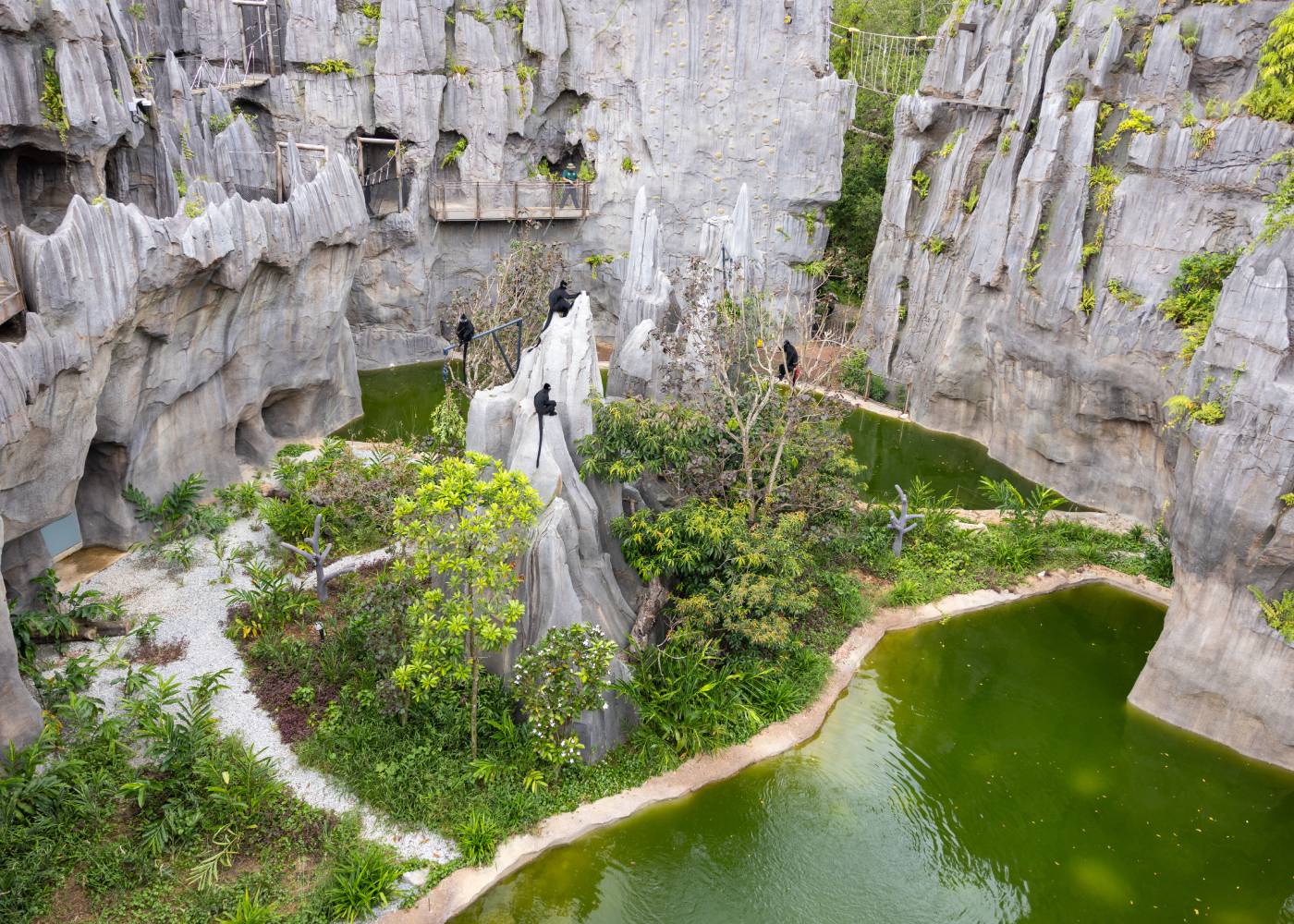 NEW in Singapore! Rainforest Wild Asia | DSGN arcHive